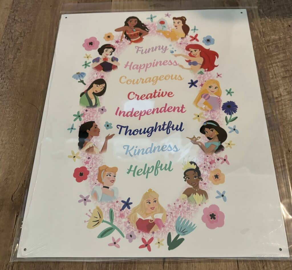 Disney-Princesses – Metal Signs